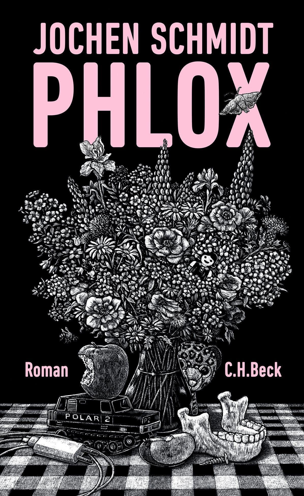 „Phlox“ von Jochen Schmidt: Die vergängliche Schönheit der Idylle ...