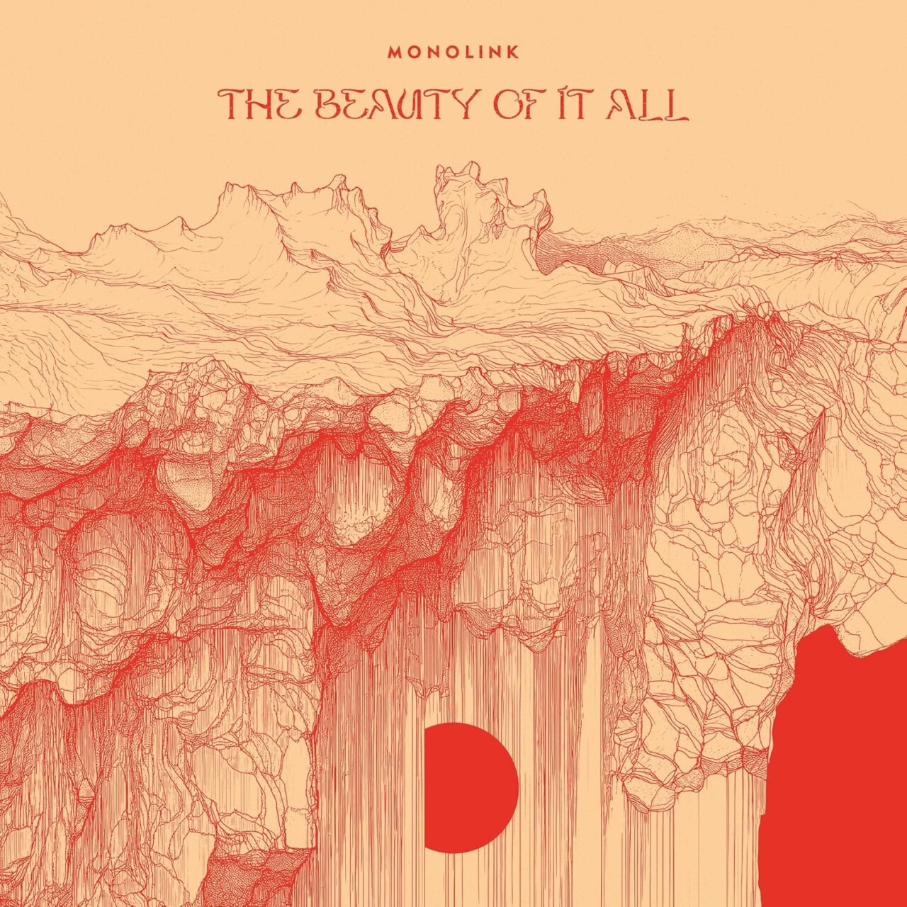 „Bob Dylan gibt es ja schon“: Monolink über neues Album „The Beauty of ...